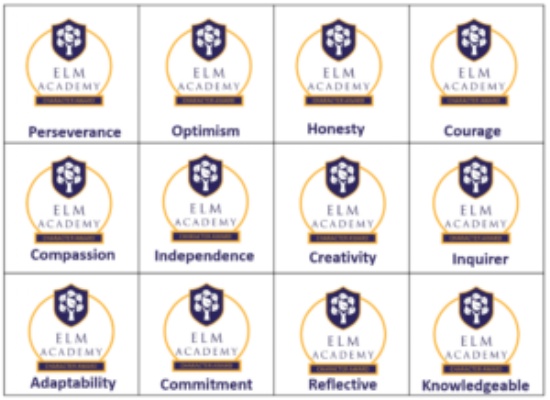 Elm Academy - School Council & Character Awards